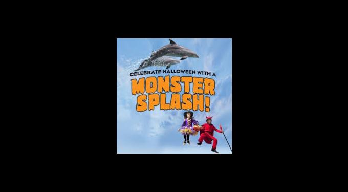 Monster Splash | South Florida Finds