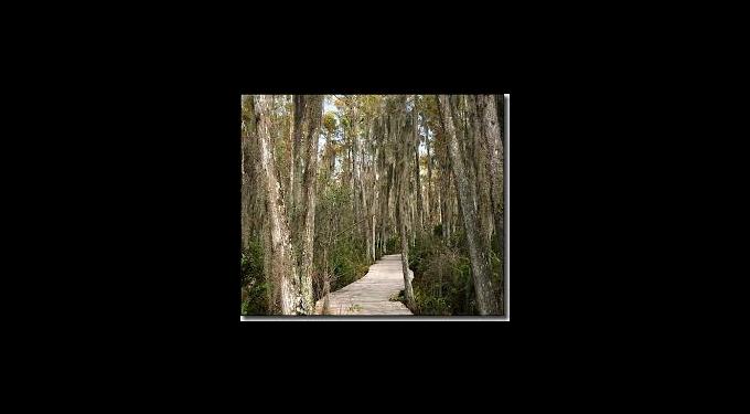 Arthur R. Marshall Loxahatchee National Wildlife Refuge | South Florida ...