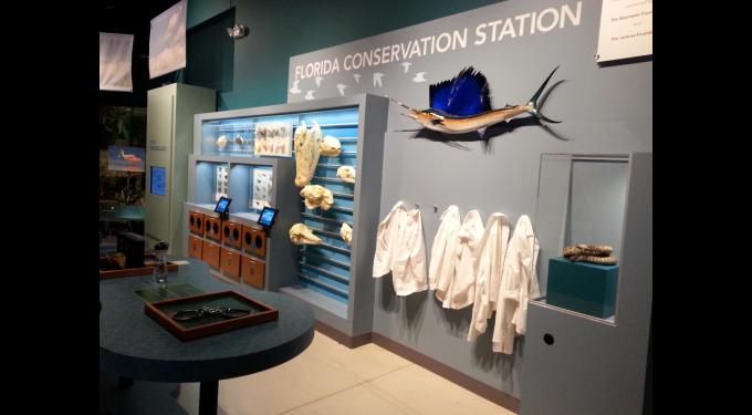 South Florida Science Center and Aquarium | South Florida Finds