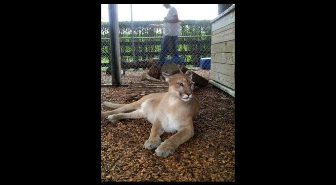 Panther Ridge Conservation Center | South Florida Finds