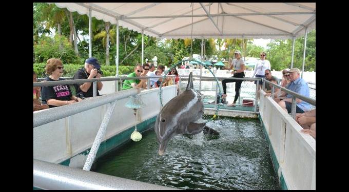 Theater of the Sea | South Florida Finds