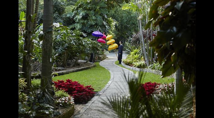 The Kampong | South Florida Finds